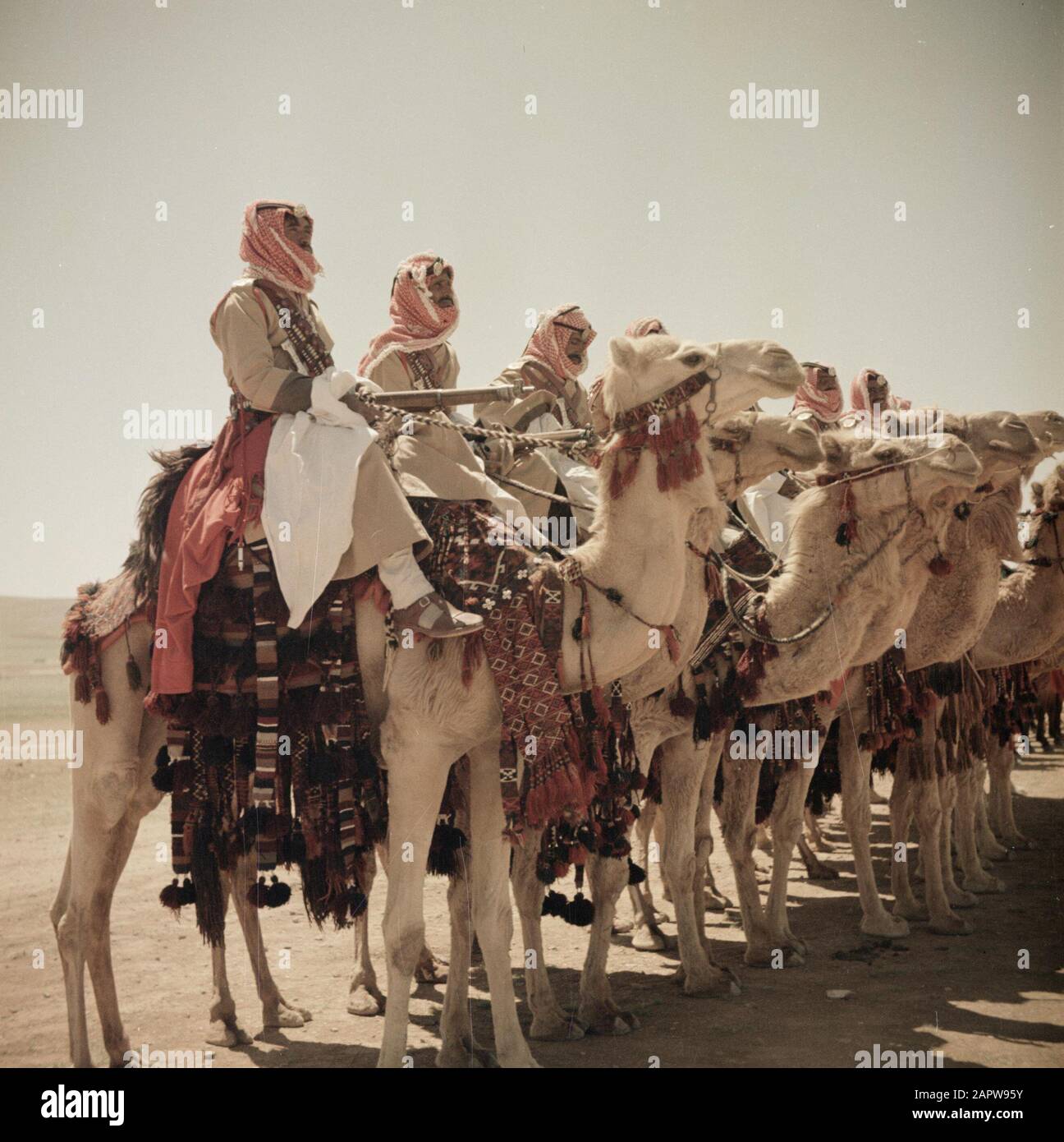 Middle East: Jordan 1953 Royal bodyguard to dromedary Annotation ...