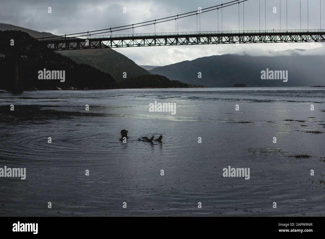 Efjord bridges hi-res stock photography and images - Alamy