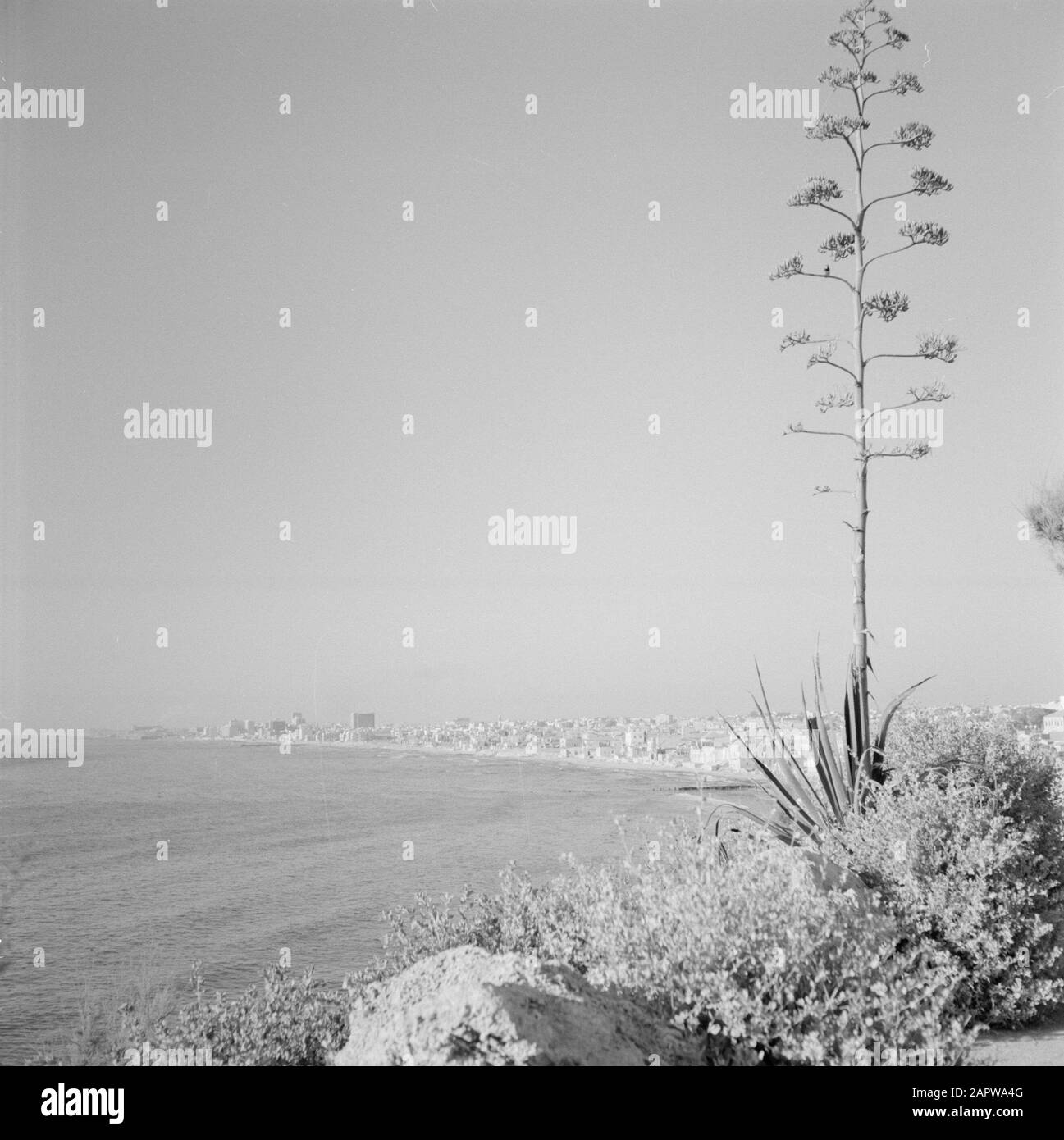 Israel: Jaffa (Tel Aviv) Coast at Jaffa Date: undated Location: Israel ...