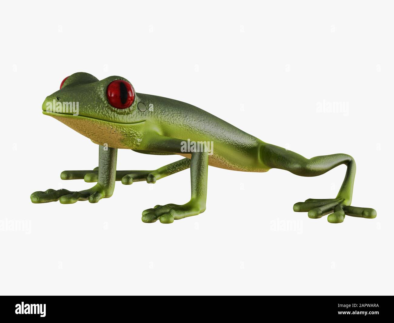 Green frog side view on white background 3d rendering Stock Photo - Alamy