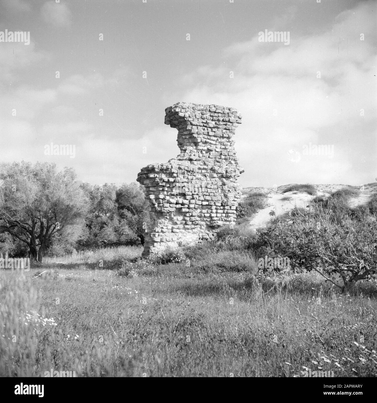 Askelon israel hi-res stock photography and images - Alamy