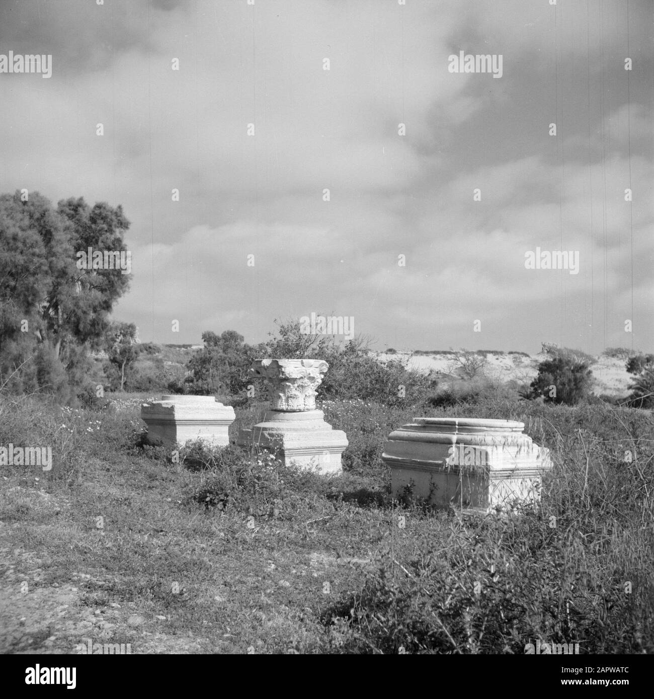 Israel 1948-1949:askalon Landscape near Askalon with archaeological ...