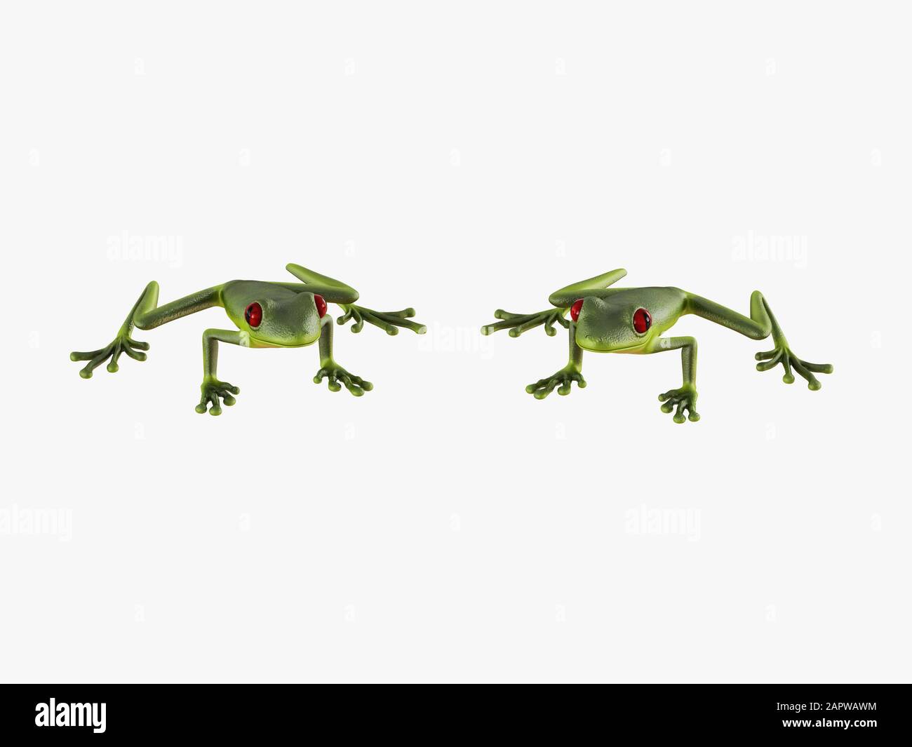 Two green frog front view on white background 3d rendering Stock Photo ...
