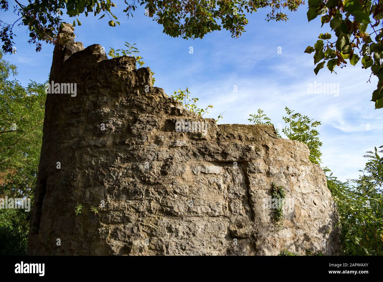Ruins of a ancient and abandoned stone tower of a castle with tree ...