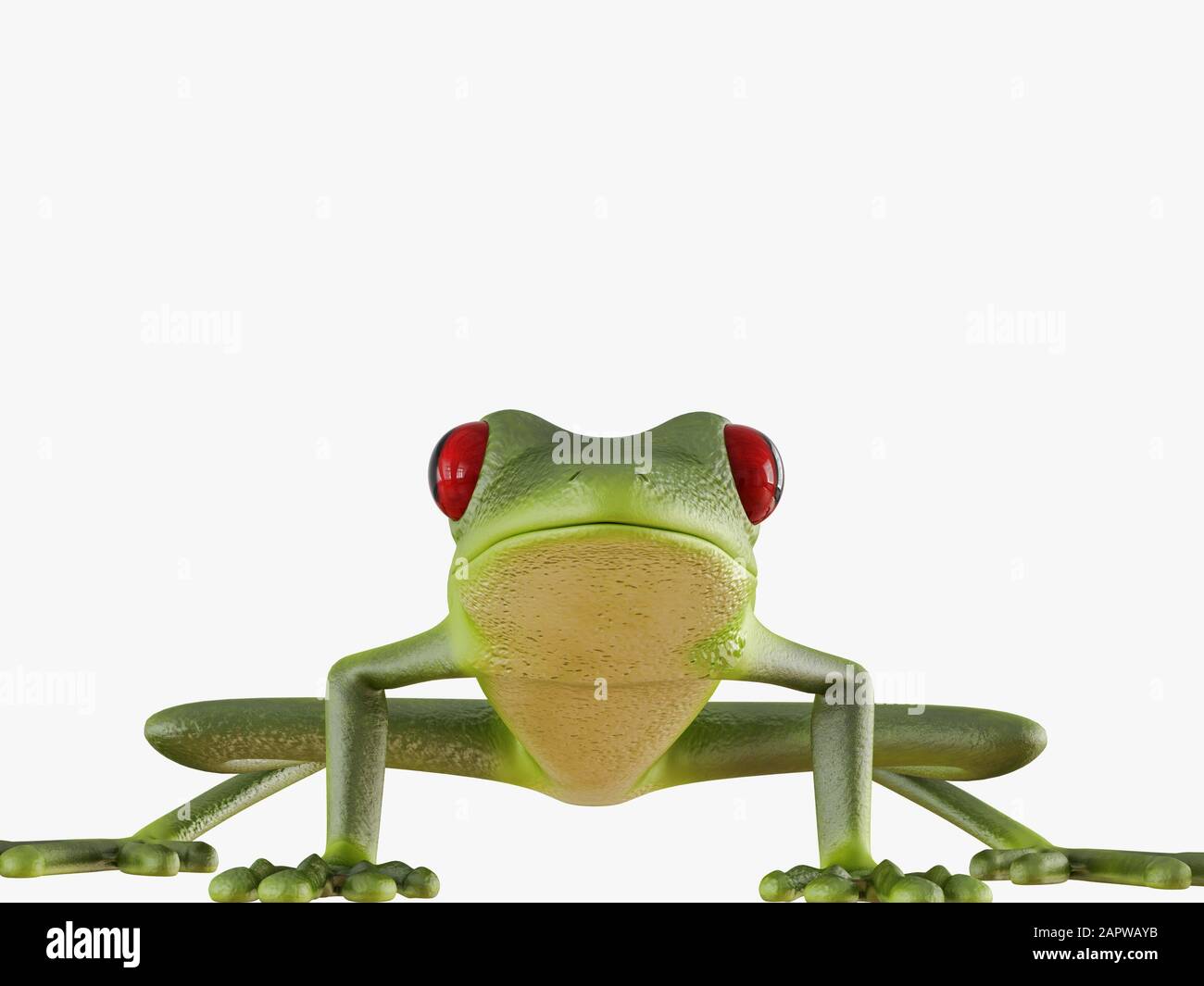 Green frog front view on white background 3d rendering Stock Photo - Alamy