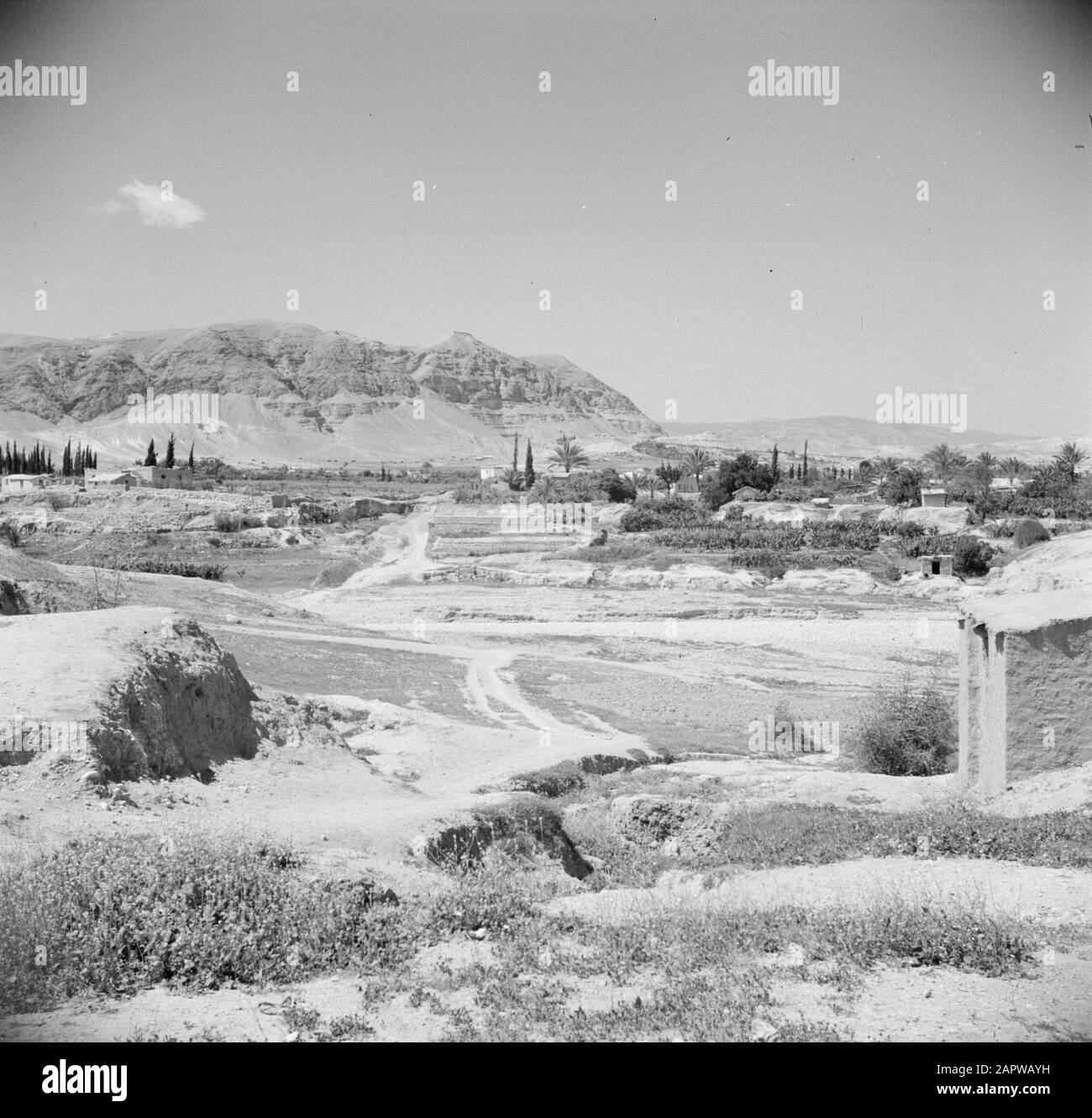 Middle East 1950-1955: Jordan Landscape near Jericho Annotation: At the ...