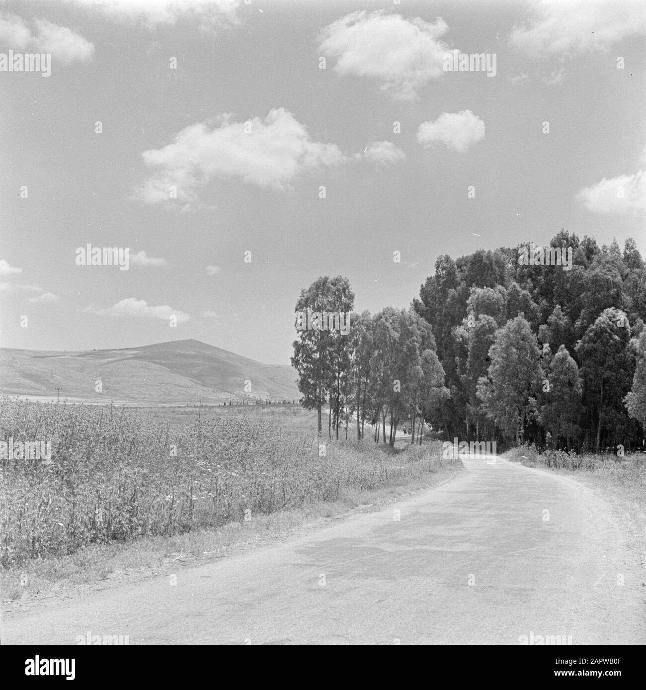 Mount moria hi-res stock photography and images - Alamy