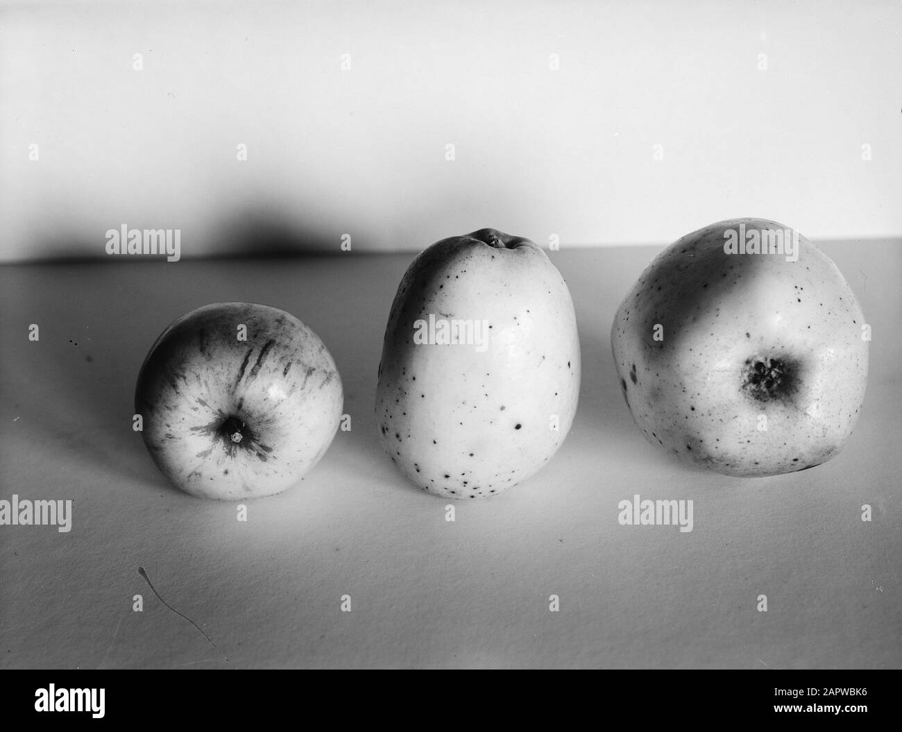 Apple tree varieties hi-res stock photography and images - Alamy