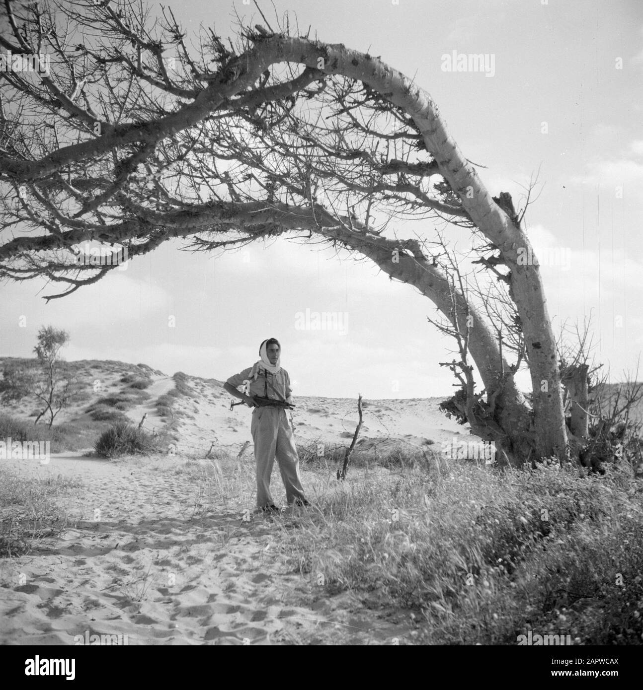 Israel 1948-1949: Gaza Member of an Israeli border patrol in the border ...