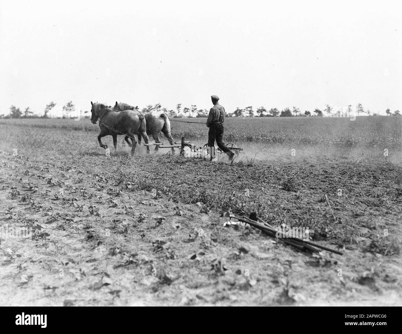 mining, tillage, leveling, brooms, tools, workers, horses, plows Date ...