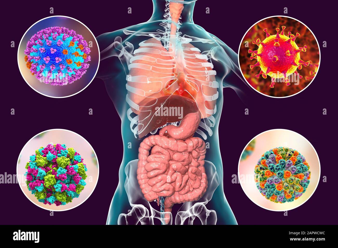 Rotaviral infection hi-res stock photography and images - Alamy