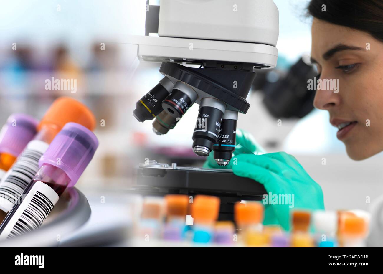 Molecular testing hi-res stock photography and images - Alamy
