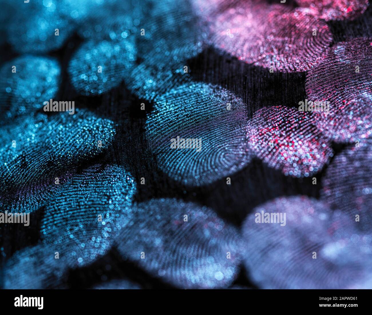 Print fingerprint hi-res stock photography and images - Alamy