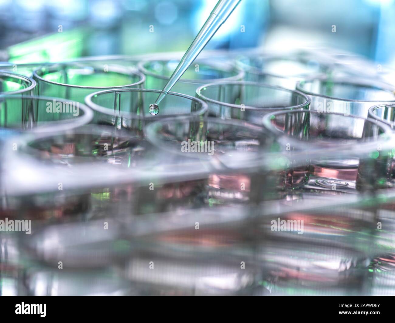 Pipetting hi-res stock photography and images - Alamy