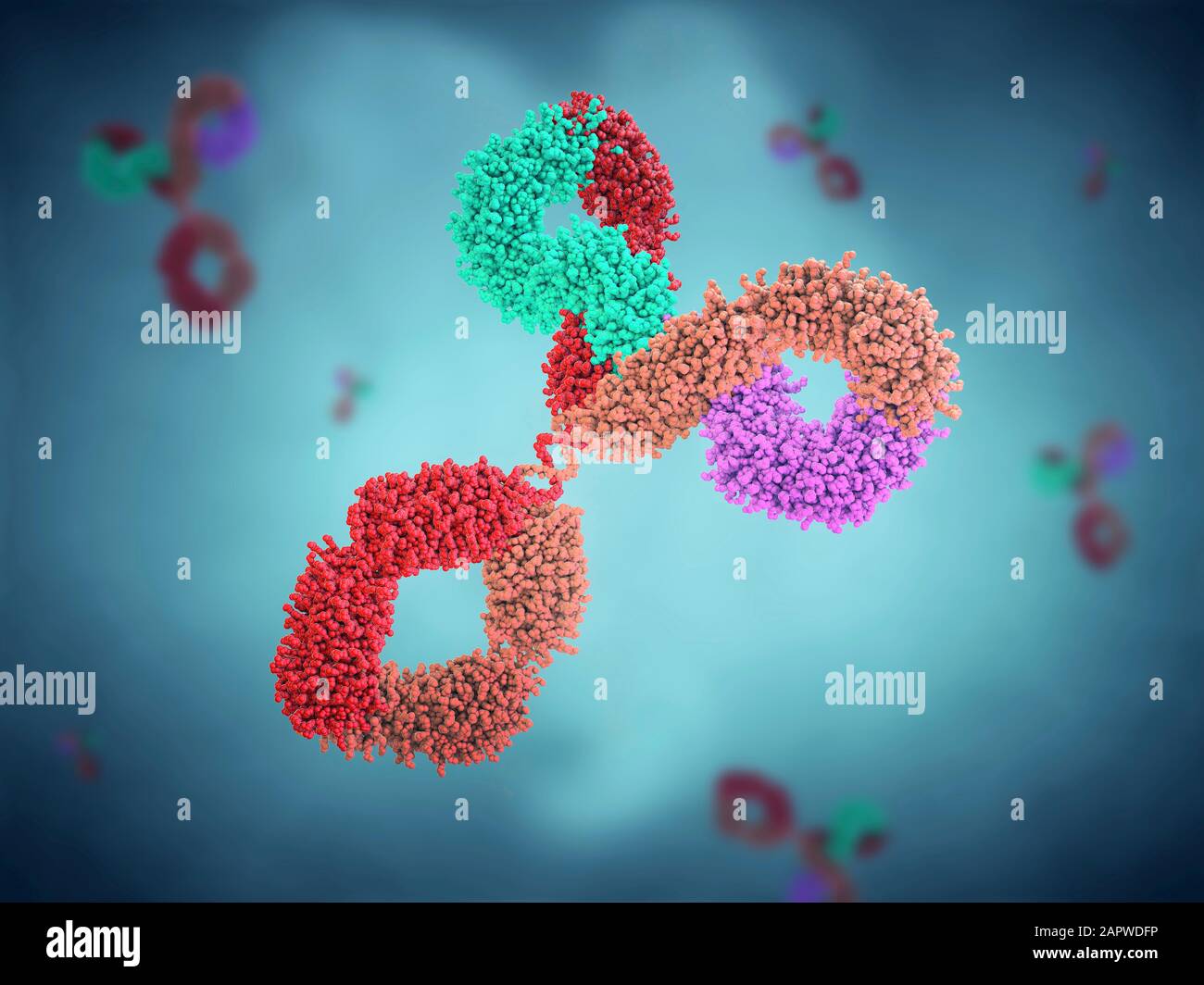 Antibody illustration hi-res stock photography and images - Alamy