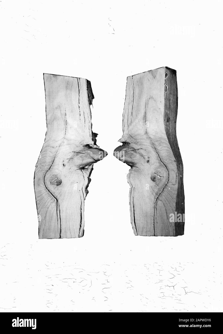 Reproduction techniques Cut Out Stock Images & Pictures - Alamy