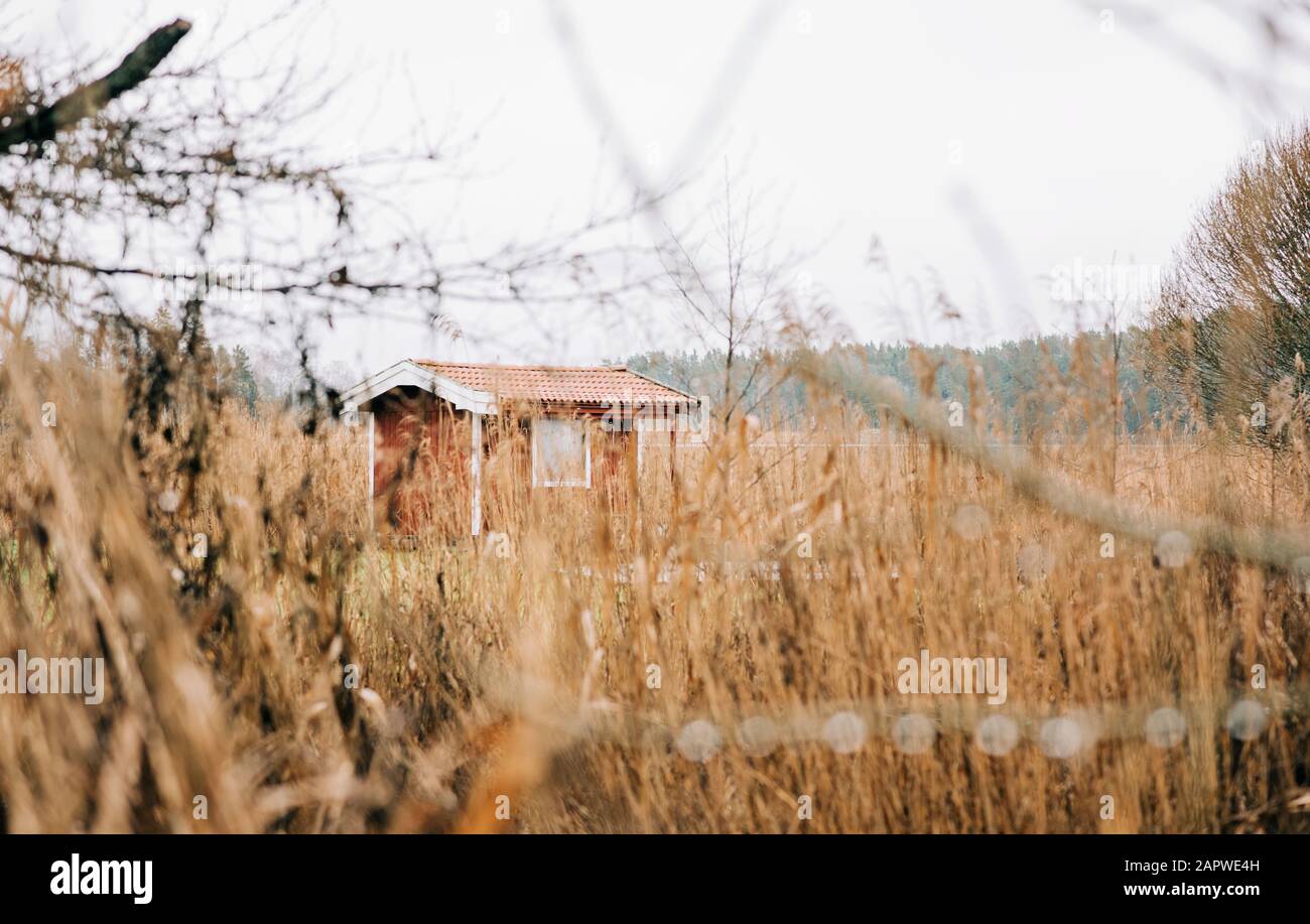 Swedish grass hi-res stock photography and images - Alamy