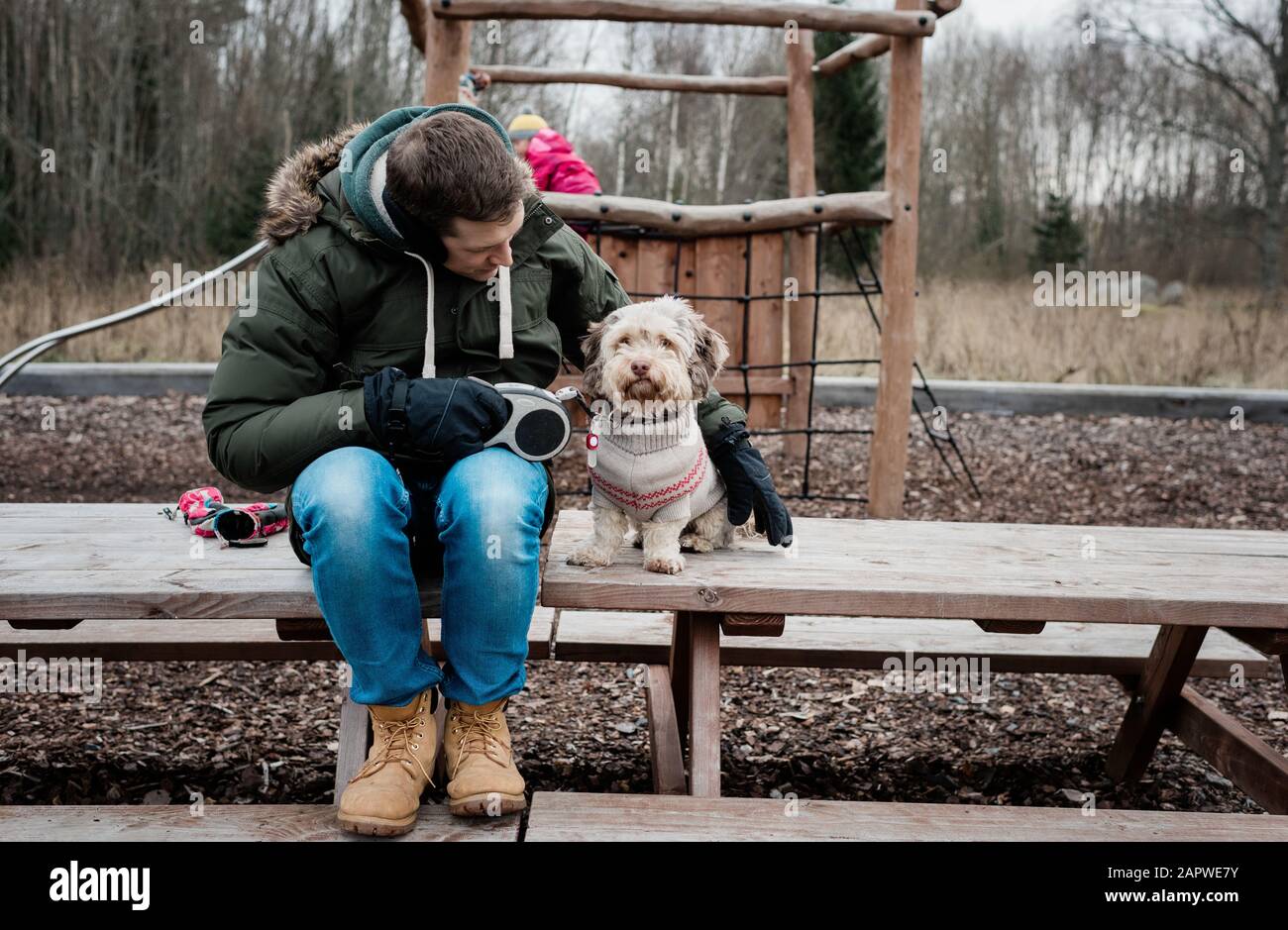 Dog waits owner outside hi-res stock photography and images - Alamy
