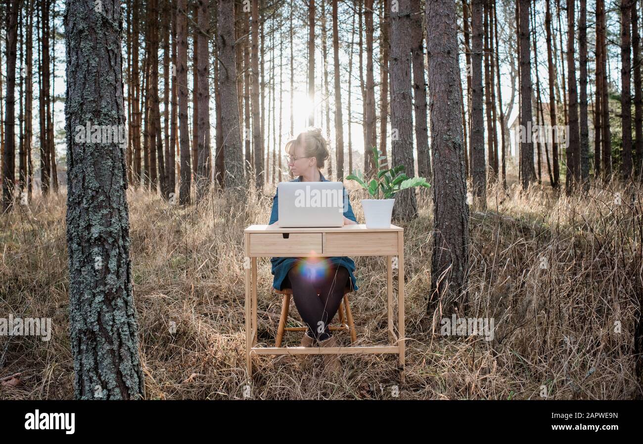 Desk in forest hi-res stock photography and images - Alamy