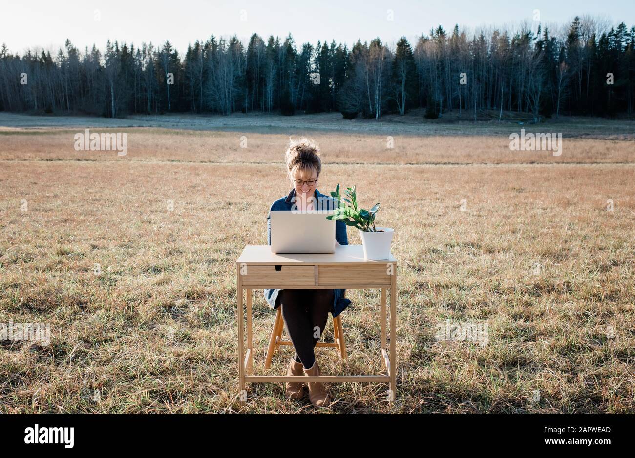Woman office desk field hi-res stock photography and images - Alamy