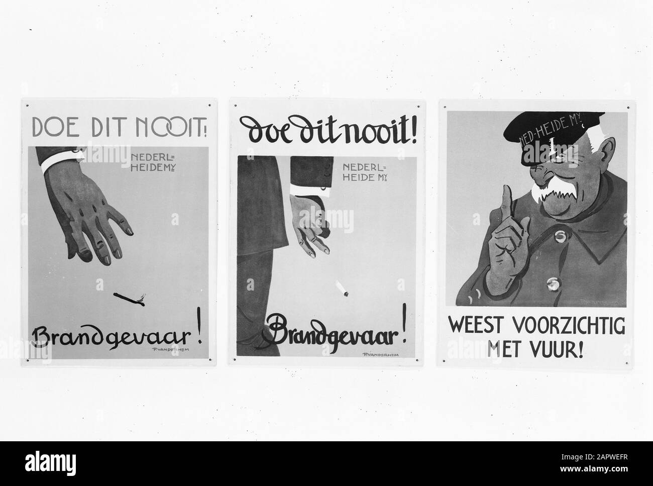 Burned ecosystem Cut Out Stock Images & Pictures - Alamy