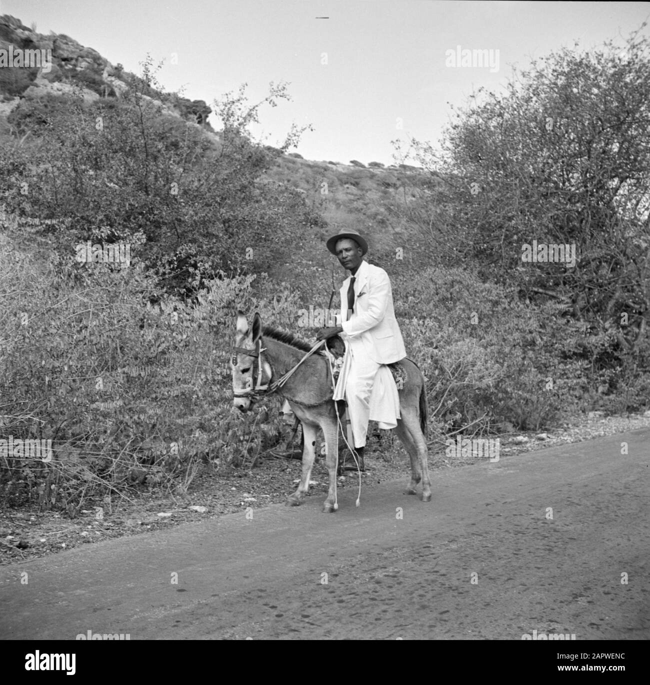 Journey to Suriname and the Netherlands Antilles Man on a donkey on ...