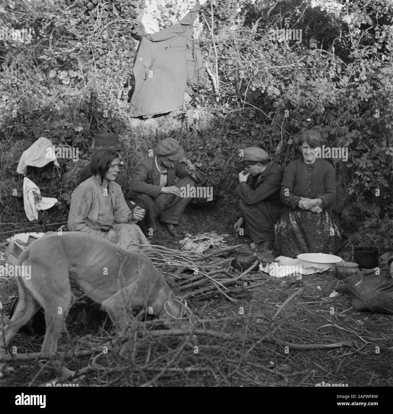 Willem tinker hi-res stock photography and images - Alamy