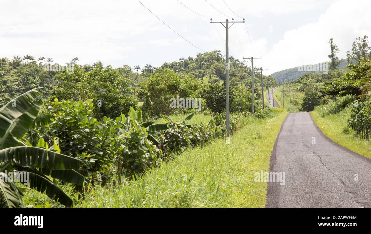 Empty road across tropical landscape under a sunny sky, Samoa Stock ...