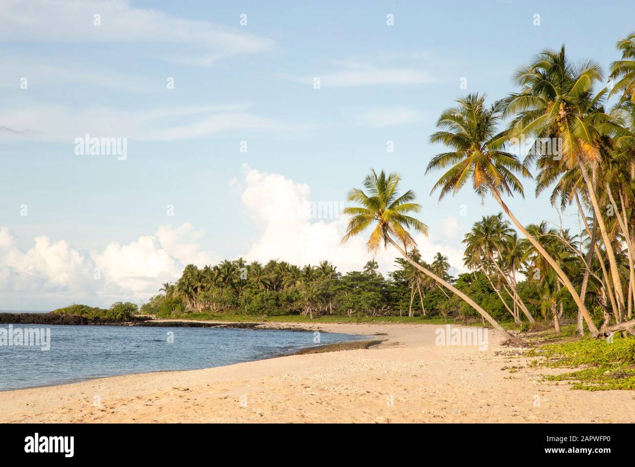 Wide sandy beach, with blue waters and leaning palm trees, Samoa Stock ...