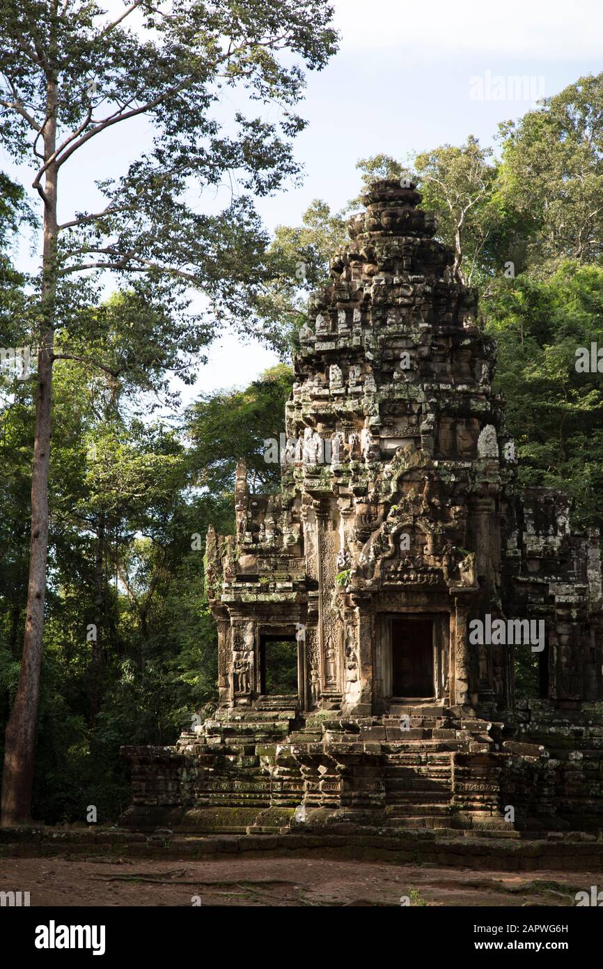 Ancient religious temple surrounded by rainforest, Angkor Stock Photo ...