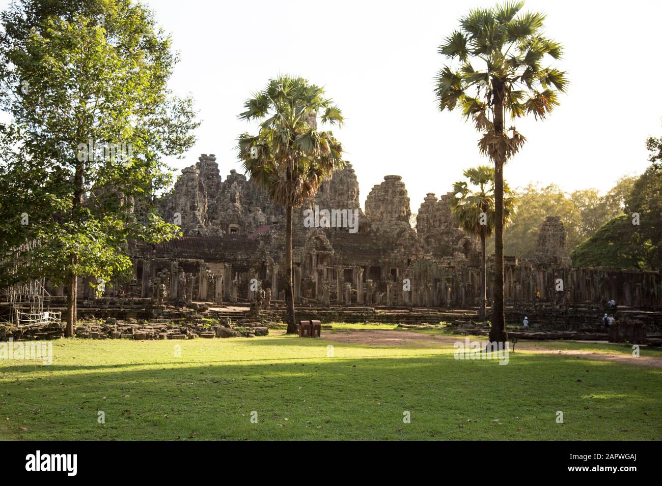 Palm trees next to Bayon temple ruins during golden hour, Angkor Stock ...
