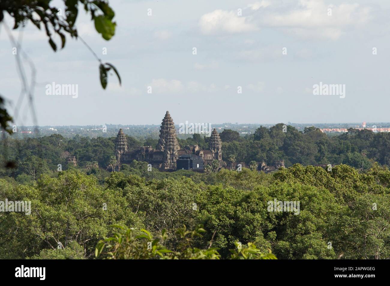 The green trees and towers hi-res stock photography and images - Alamy