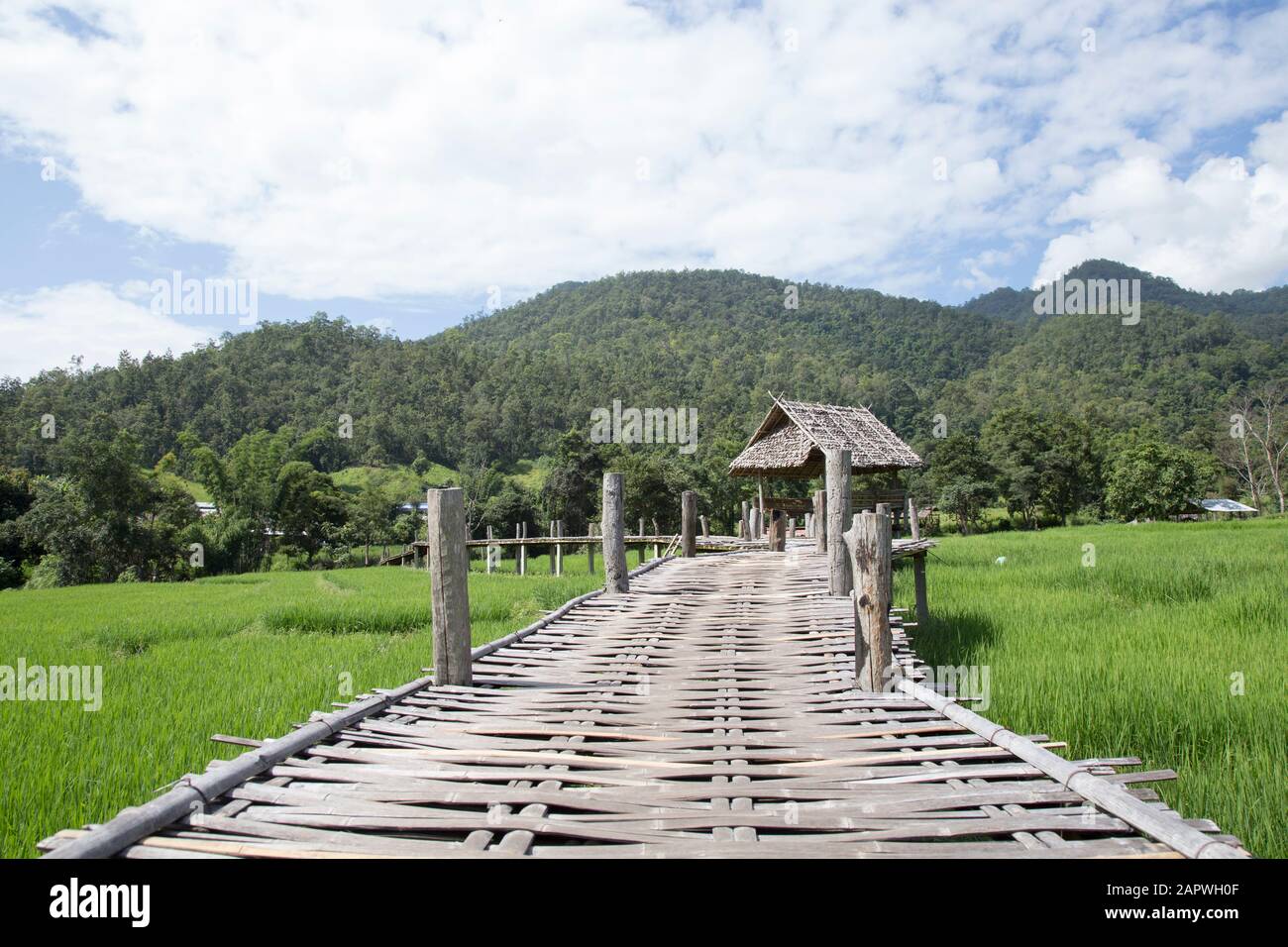 Pai bamboo bridge hi-res stock photography and images - Alamy