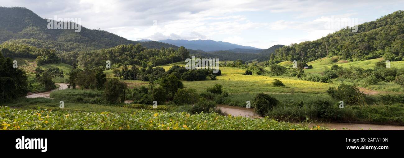 Tropical fields hi-res stock photography and images - Alamy