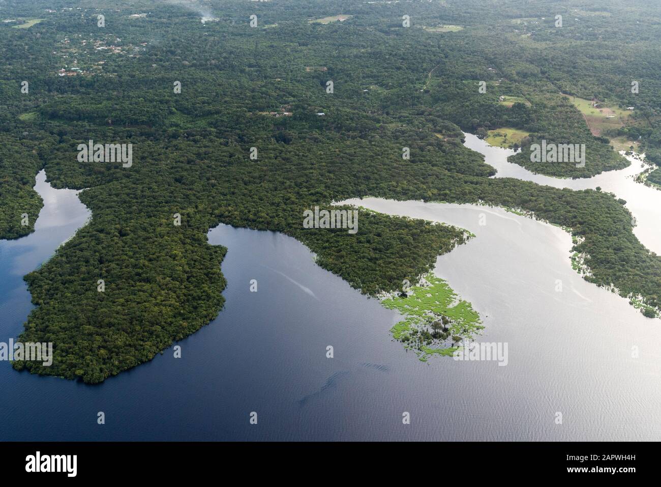 Beautiful aerial view to flooded rainforest and river in the Amazon ...