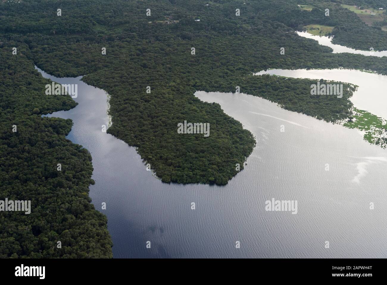 Beautiful aerial view to flooded rainforest and river in the Amazon ...