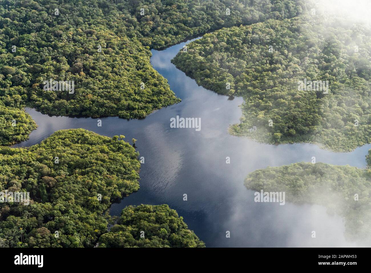 Beautiful aerial view to flooded rainforest and river in the Amazon ...