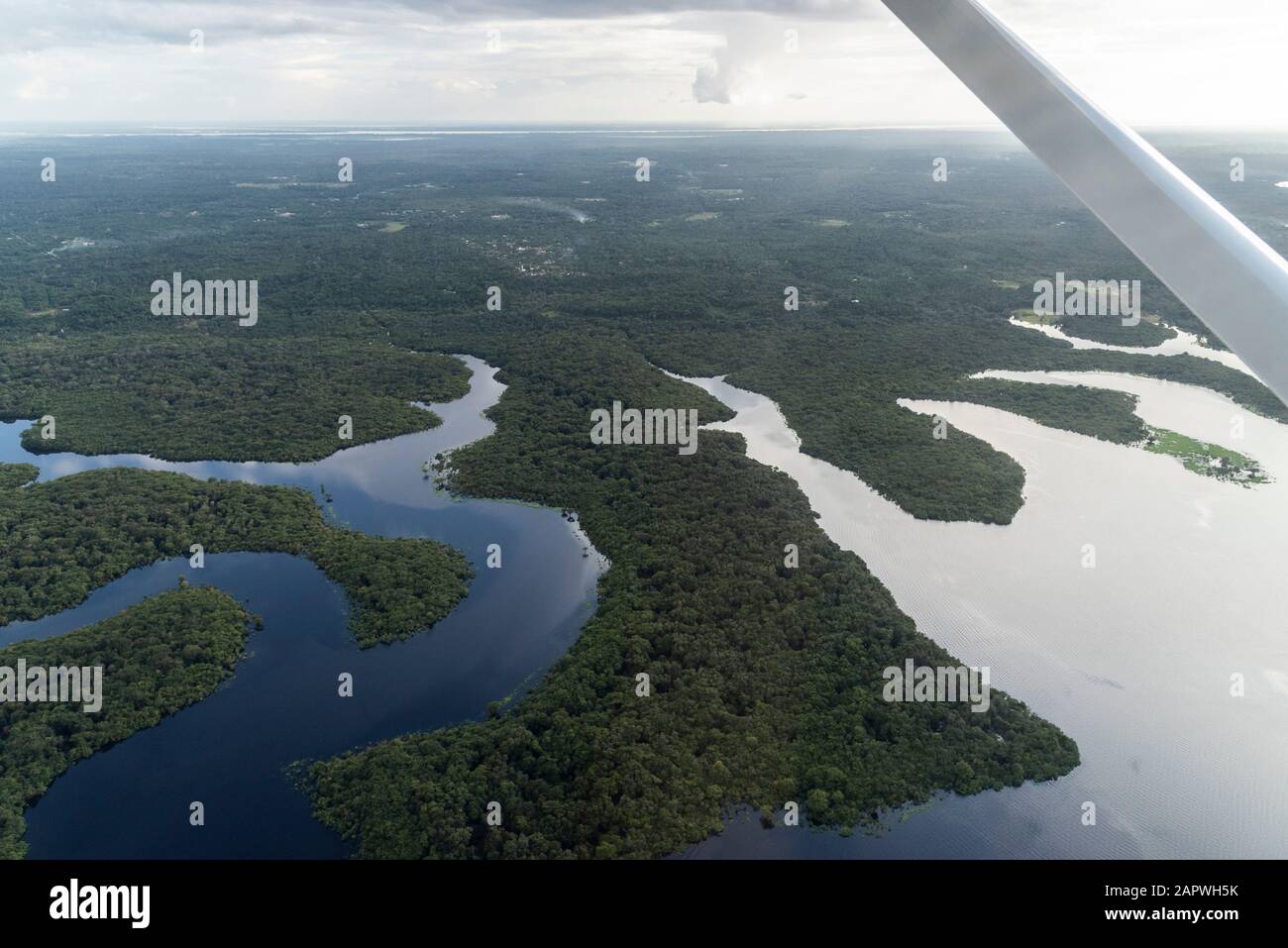 Beautiful aerial view to flooded rainforest and river in the Amazon ...