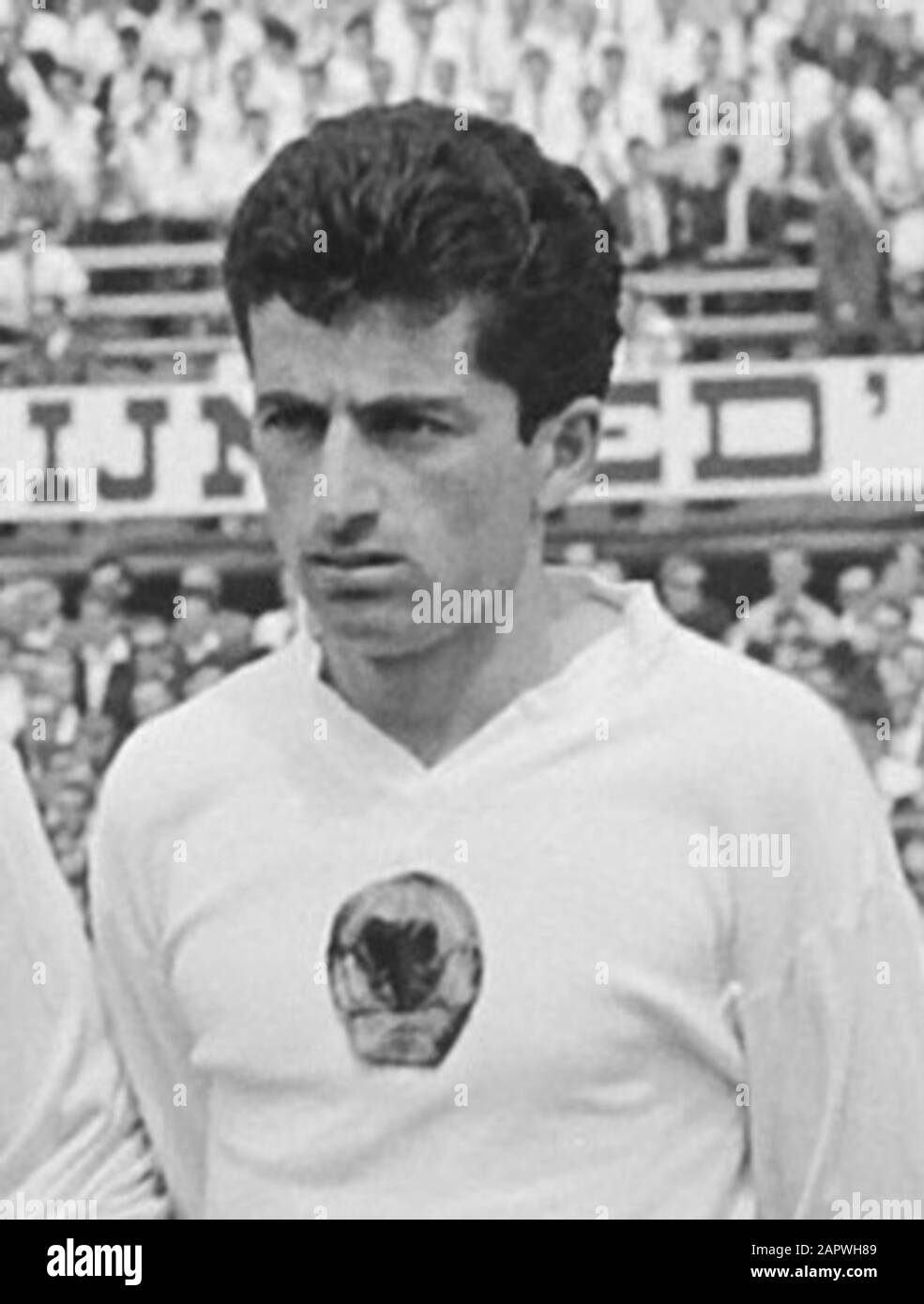 Bushati hi-res stock photography and images - Alamy