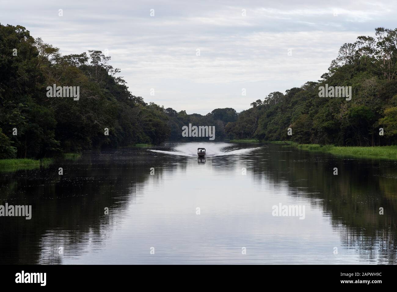 Typical Amazon rainforest and river landscape with small boat near ...