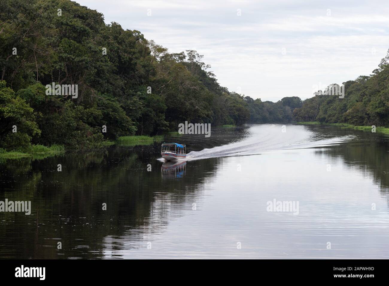 Typical Amazon rainforest and river landscape with small boat near ...