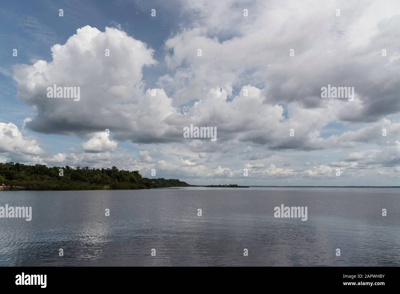 Typical Amazon rainforest and river landscape near Negro River close to ...
