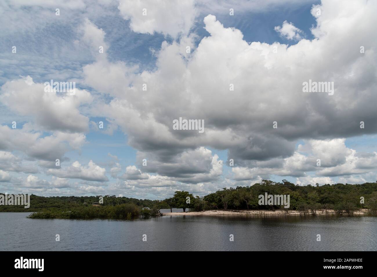 Typical Amazon rainforest and river landscape near Negro River close to ...