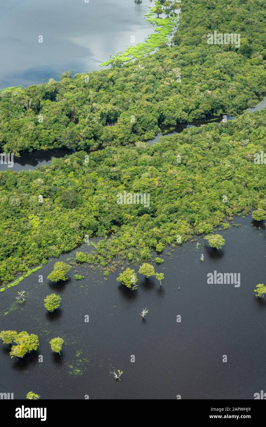Beautiful aerial view to Negro River green Amazon island archipelago of ...