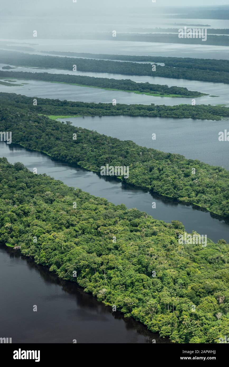 Beautiful aerial view to Negro River green Amazon island archipelago of ...