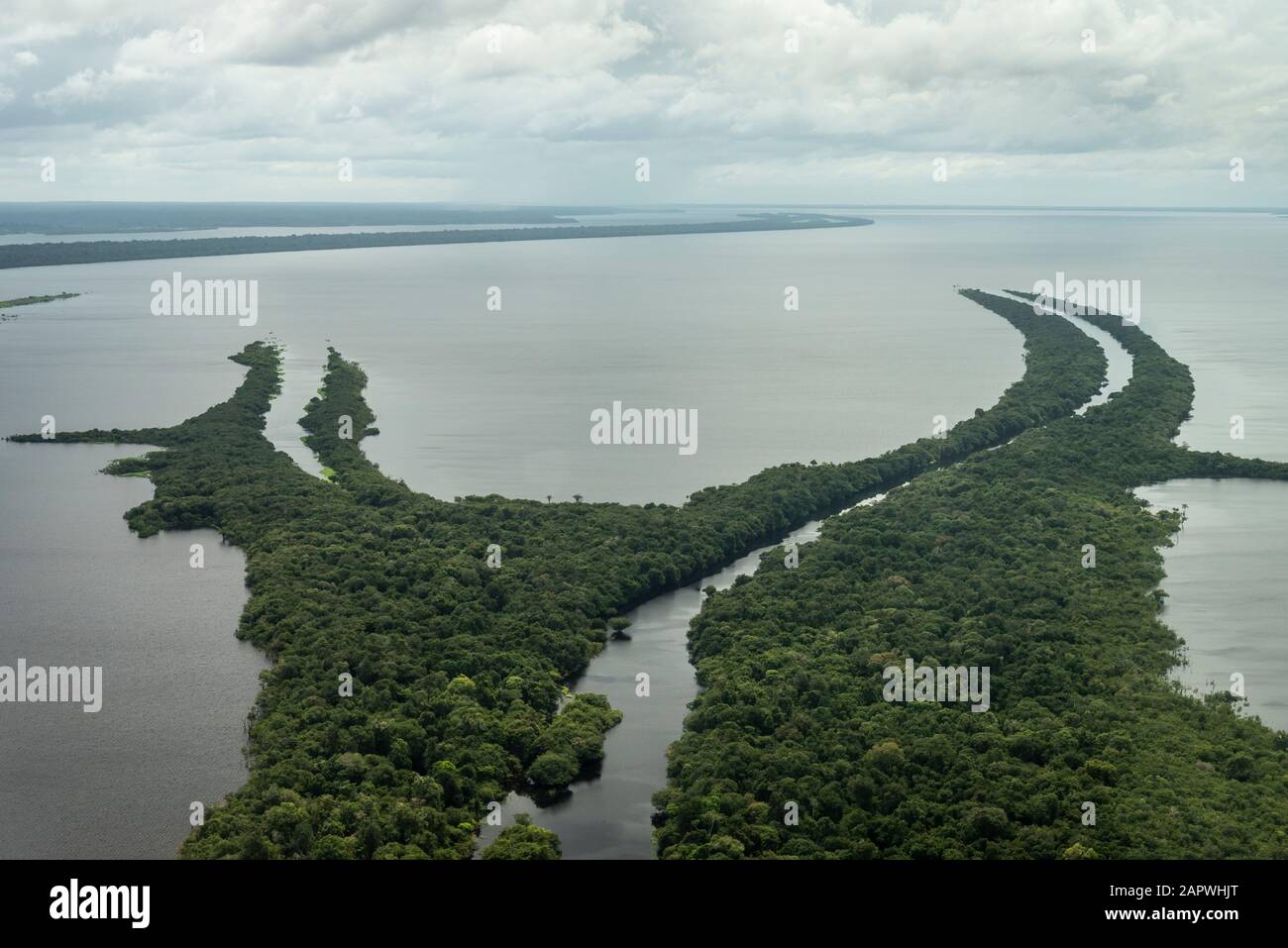 Beautiful aerial view to Negro River green Amazon island archipelago of ...