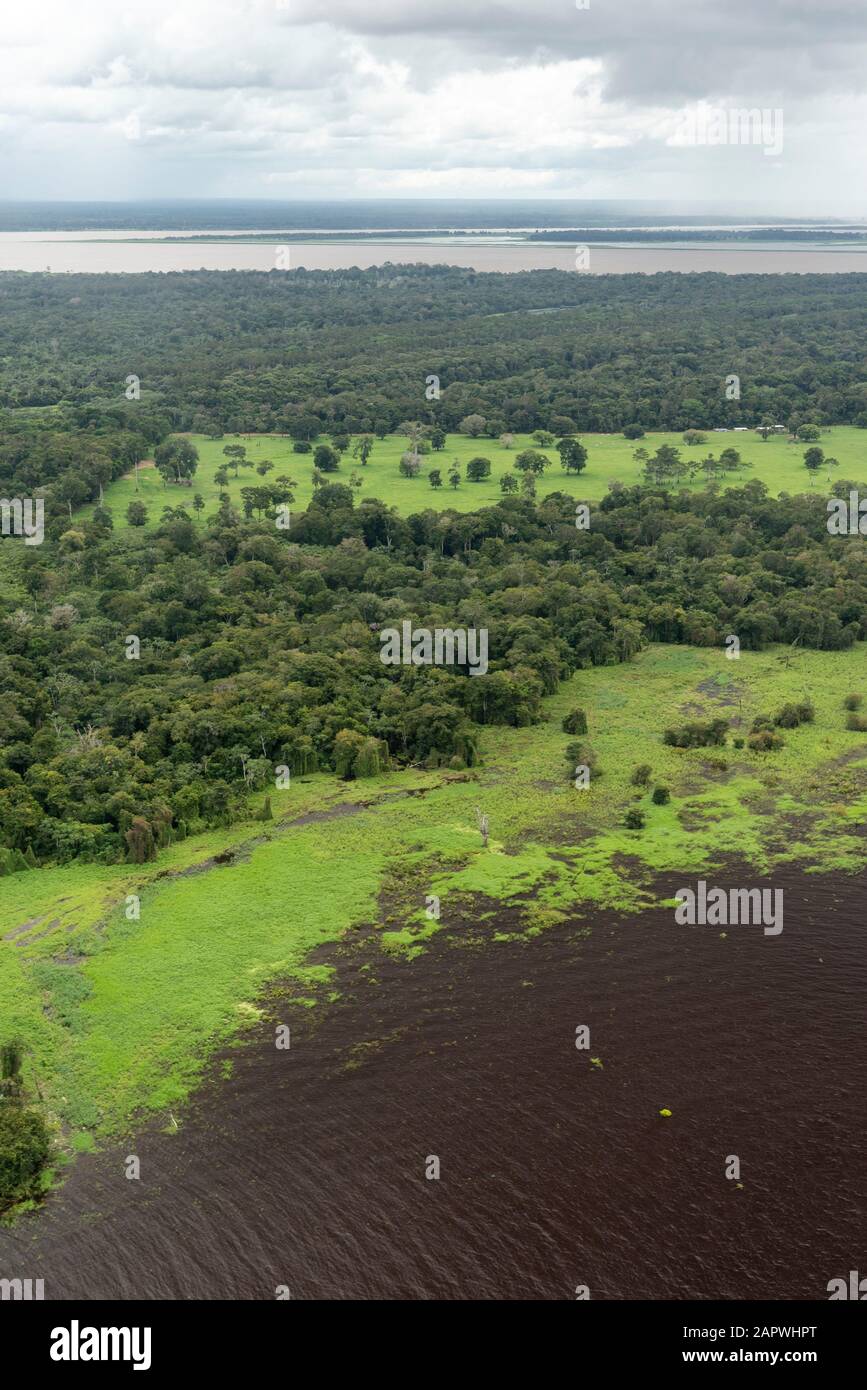Beautiful aerial view to green flooded rainforest and river in the ...