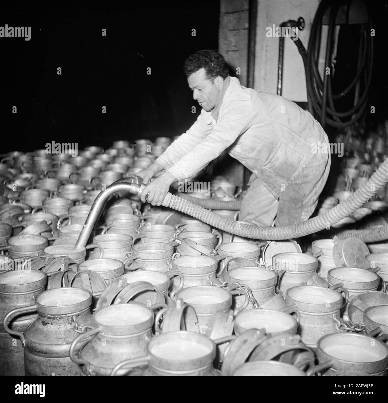 Snakes of france Black and White Stock Photos & Images - Alamy