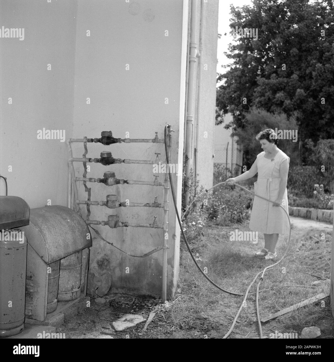 Mrs Wagner sprays her garden with a garden hose connected to a water ...
