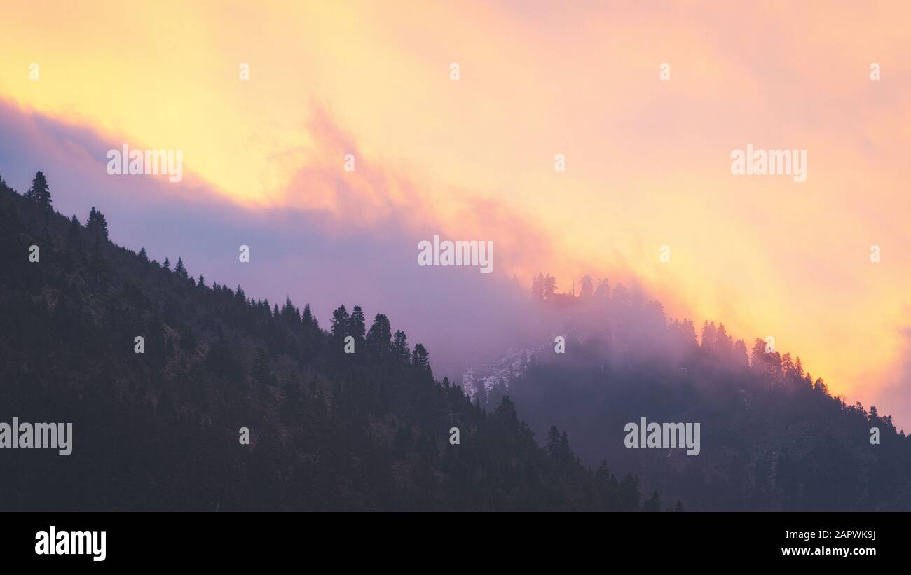 Burning sunrise that took place on a silhouette of a forest with fir ...